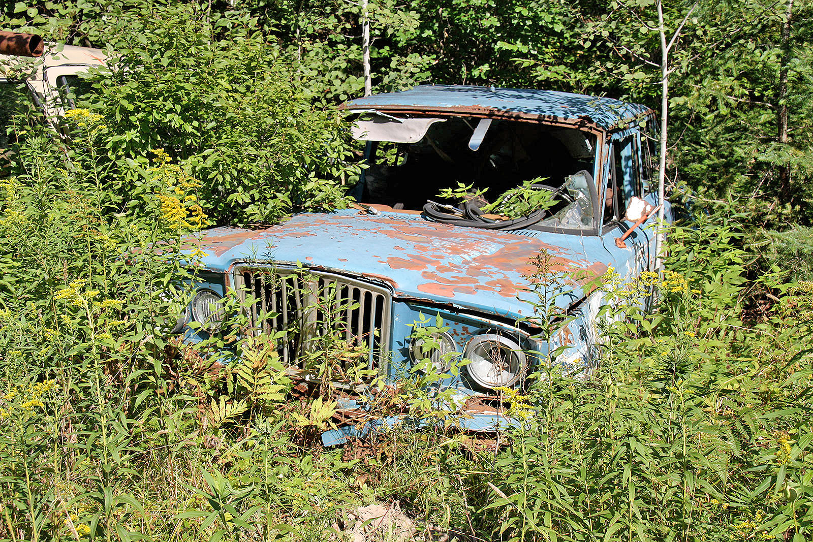 The Junkyard Gems of G&G Auto Salvage, Bruce, Wisconsin | Autocar